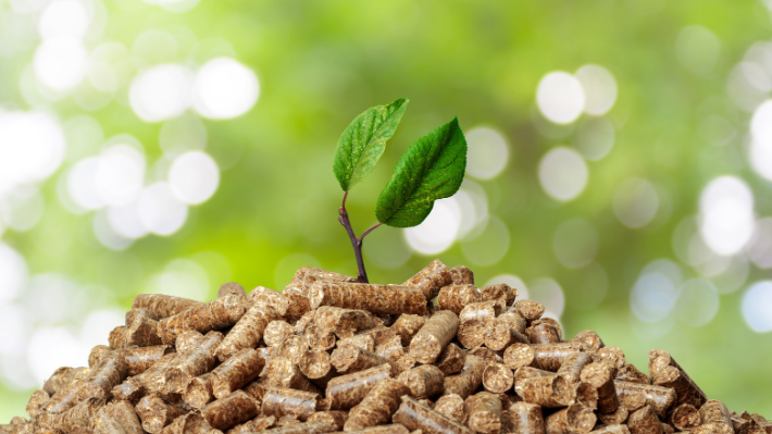 ¿Sabes qué es La Biomasa? | Blog Ecólatras