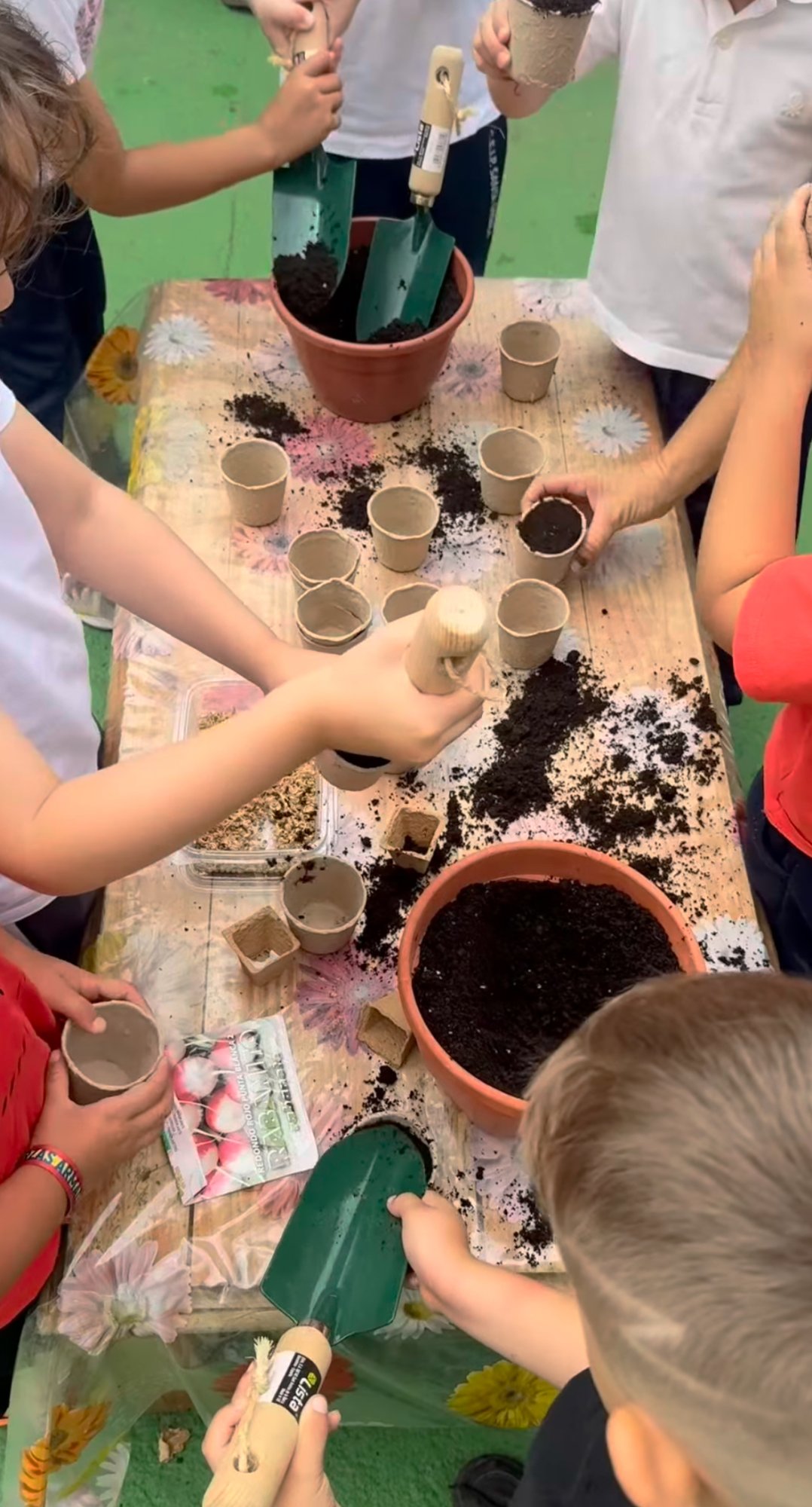 Huerto Escolar Ecológico CEIP Santa Úrsula | S.C. Tenerife | Ecólatras