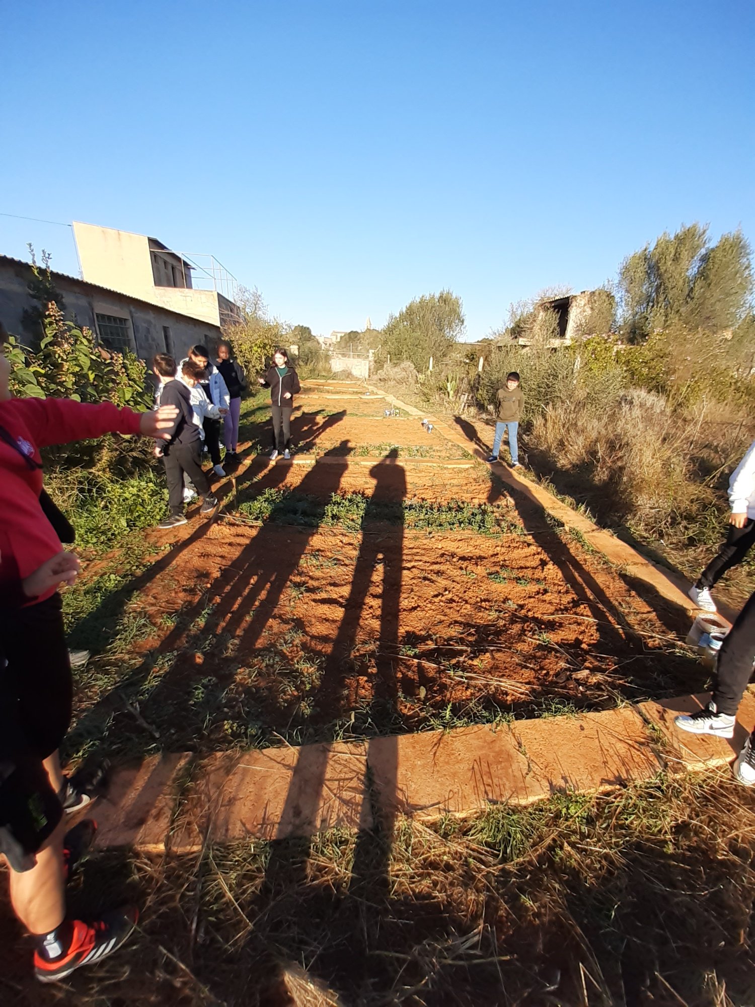 Proyecto Ecocentro IES Santanyí | Baleares | Ecólatras